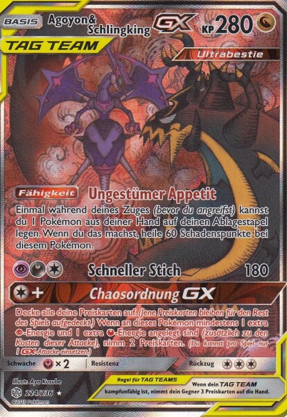 Agoyon & Schlingking GX 224/236 SM12 Welten im Wandel